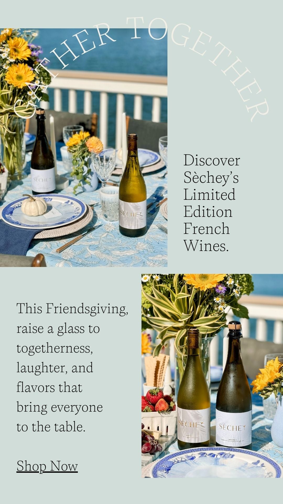 Sèchey | Alcohol Free & Alternative Wine, Beer & Spirits